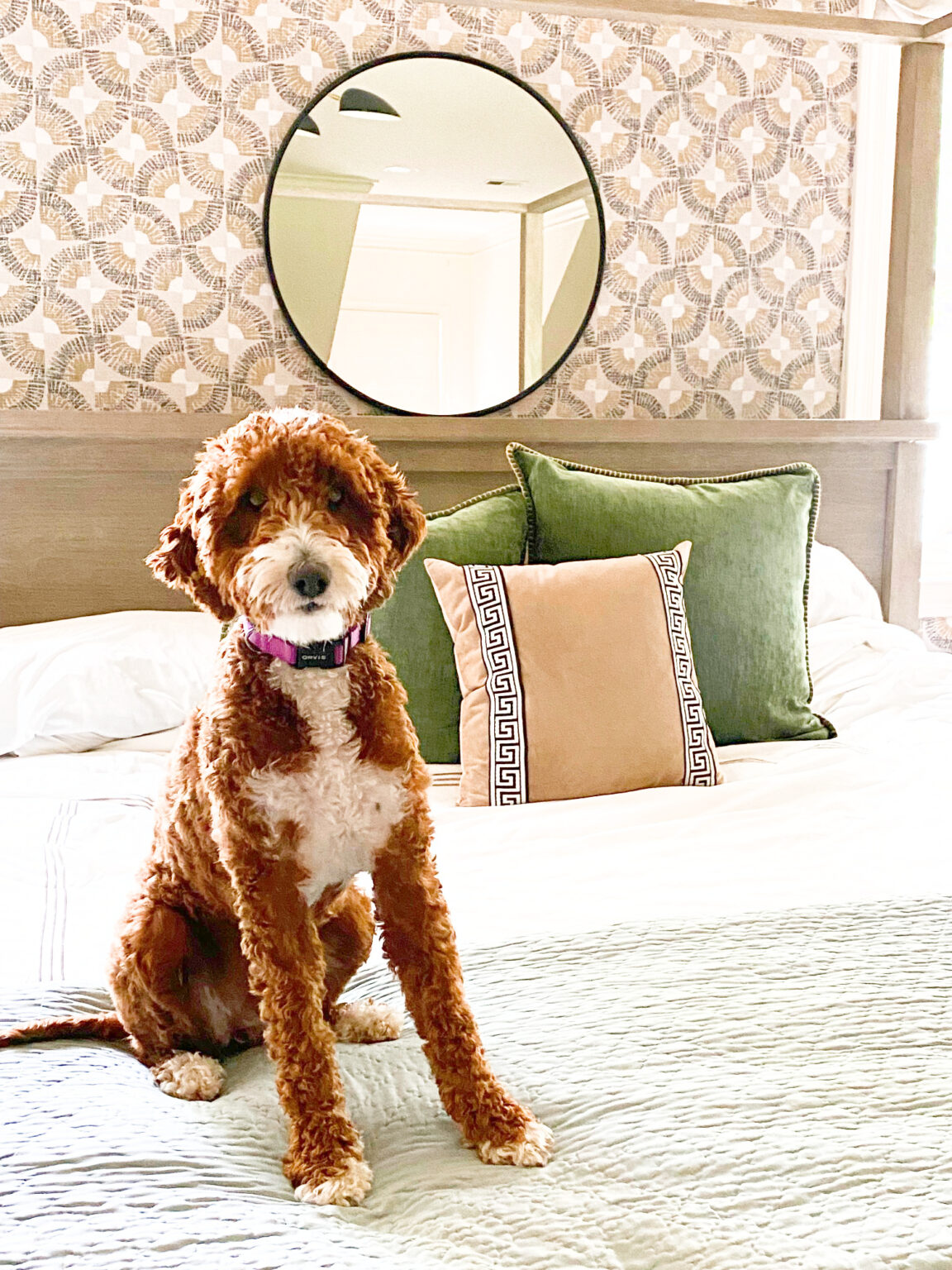 Primary Bedroom Makeover || The Statement Wall & Bed Nook - Southern ...