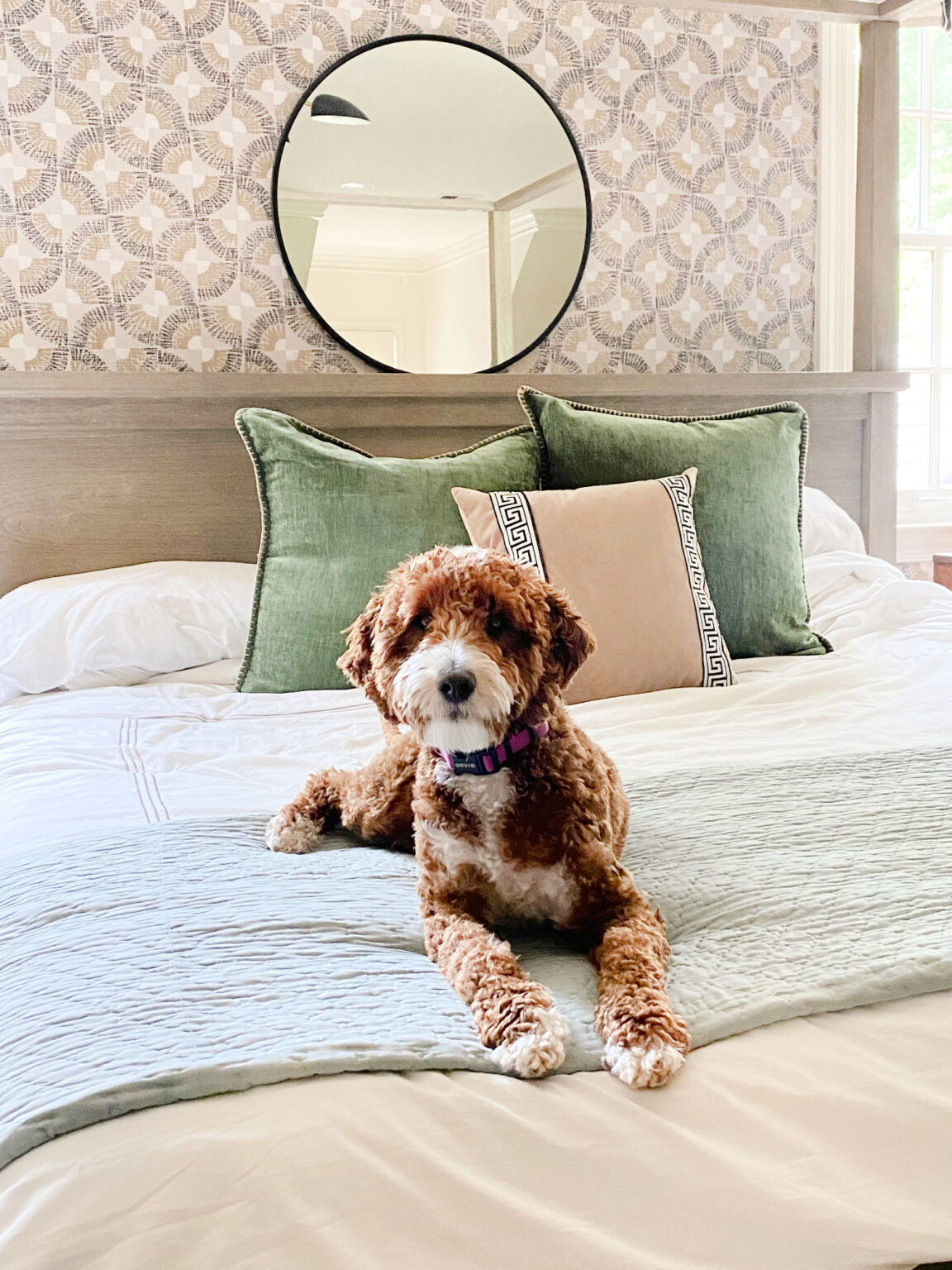 Primary Bedroom Makeover || The Statement Wall & Bed Nook - Southern ...